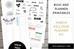 March Exclusive Planner Kit - Sneak Peek at Bujo and Planner Printables