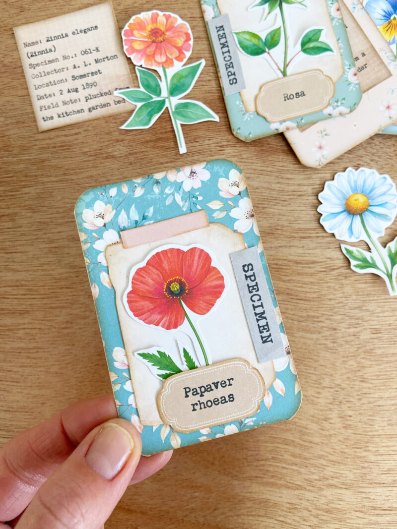 Junk Journal Flower Specimen Cards - Space and Quiet Journaling