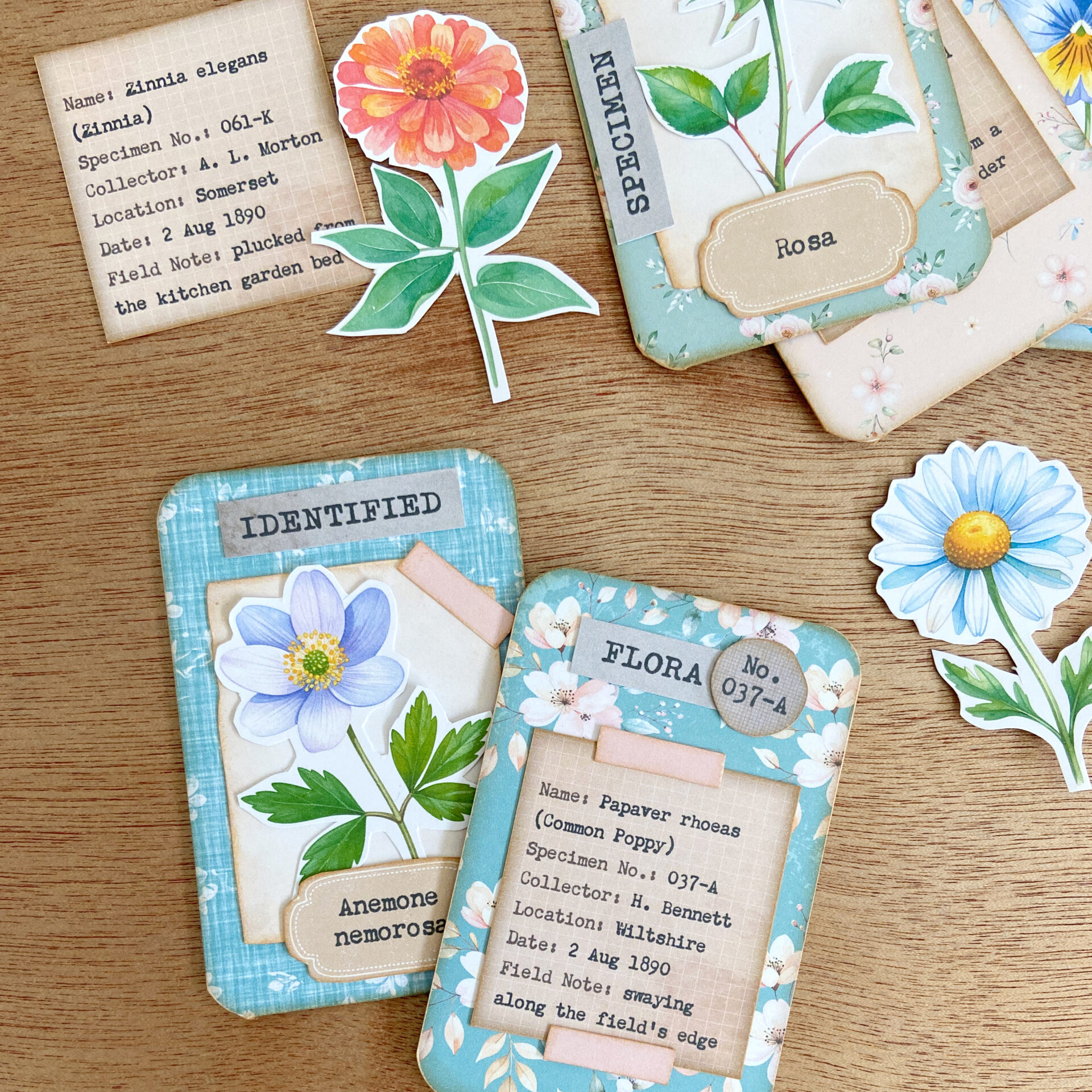 Junk Journal Flower Specimen Cards - Space and Quiet Journaling