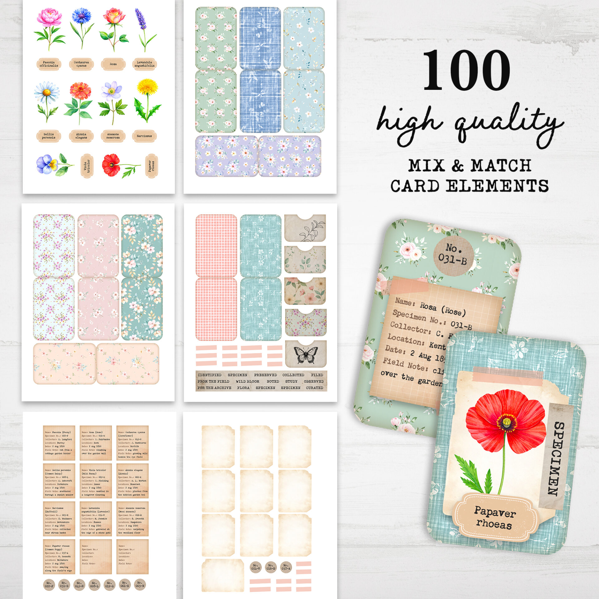 Junk Journal Flower Specimen Cards - Space and Quiet Journaling