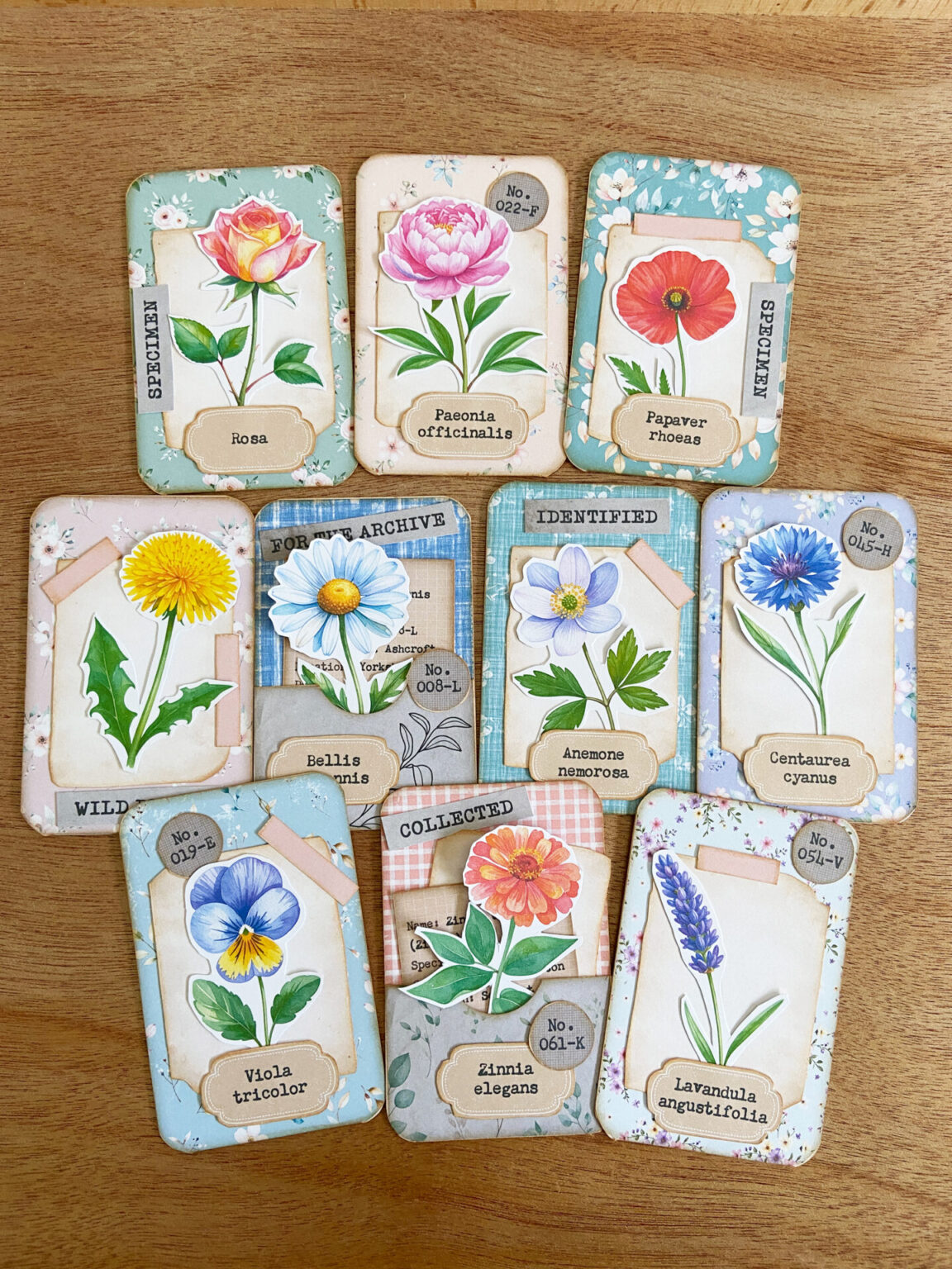 Junk Journal Flower Specimen Cards - Space and Quiet Journaling